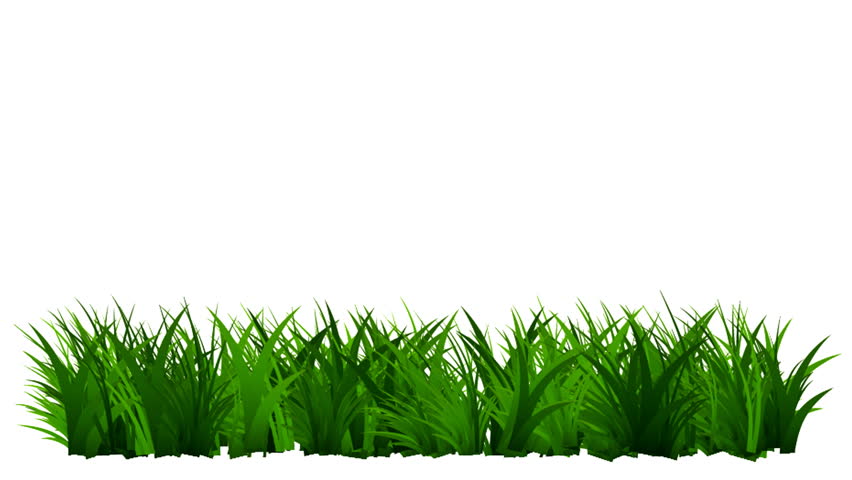 Animated Grass Stockowy Materiał Wideo 40085 Shutterstock 