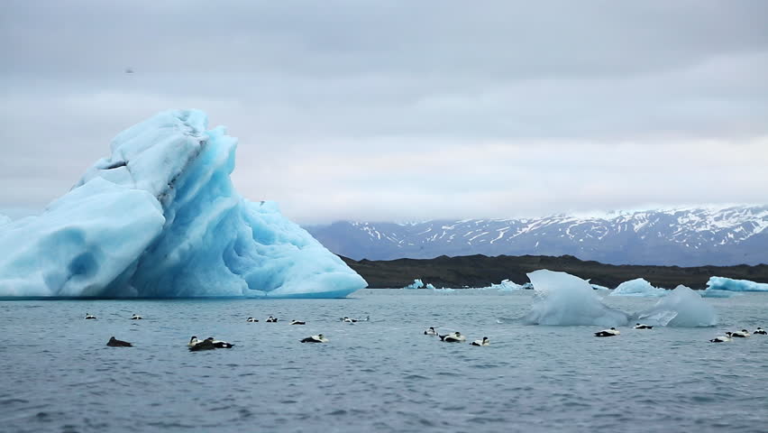 Iceberg flow in the landscape in Greenland image - Free stock photo ...