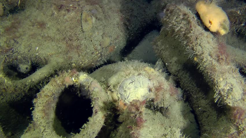 The Ancient Greek Amphorae On Stock Footage Video (100% Royalty-free ...