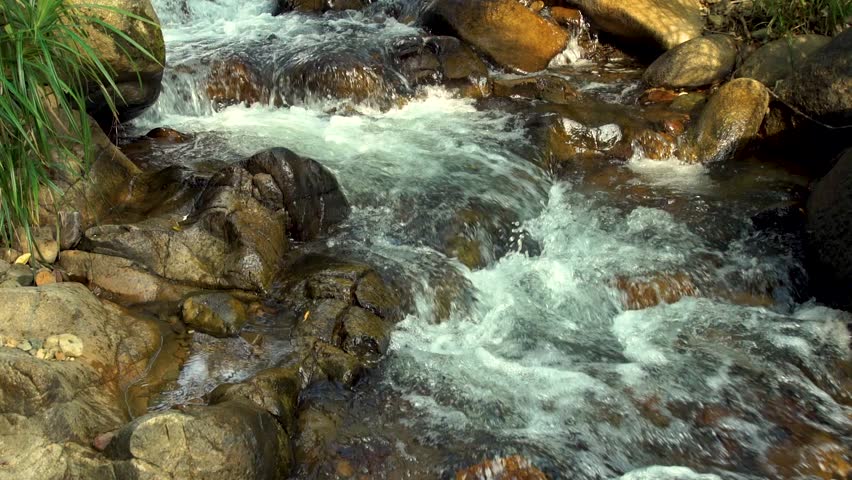 Rapids and river scene in the wild image - Free stock photo - Public ...
