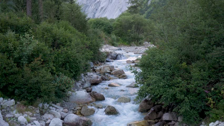 Pine tree line and Mountains landscape image - Free stock photo ...