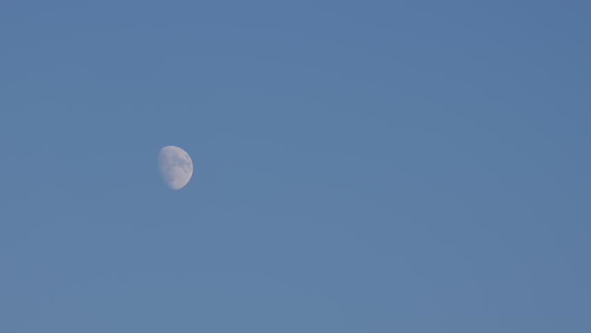 Sky and night landscape with moon and birds image - Free stock photo ...