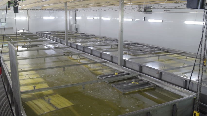 Cheese Factory and cheese products image - Free stock photo - Public ...