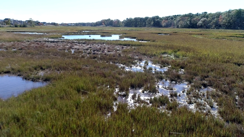 Marsh Landscape with water pools image - Free stock photo - Public ...