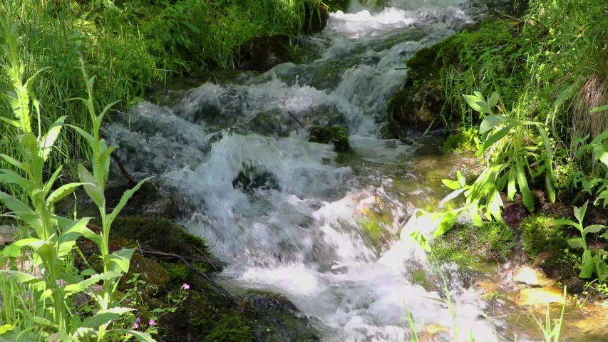Brook. Natural Spring Water. Natural Stock Footage Video (100% Royalty ...