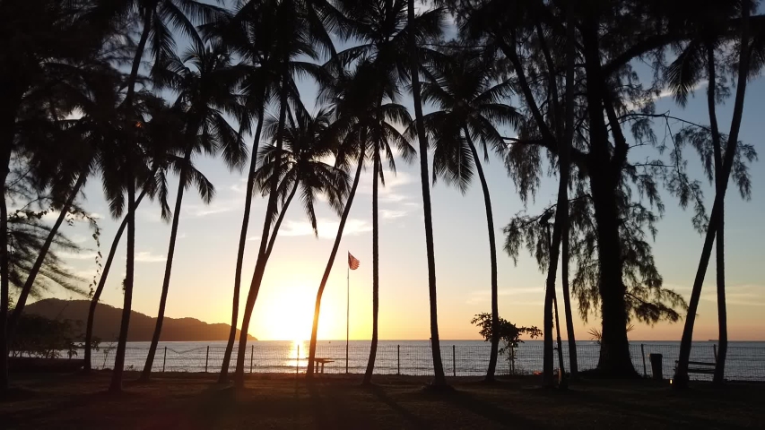 Sunset over the trees in Malaysia image - Free stock photo - Public ...