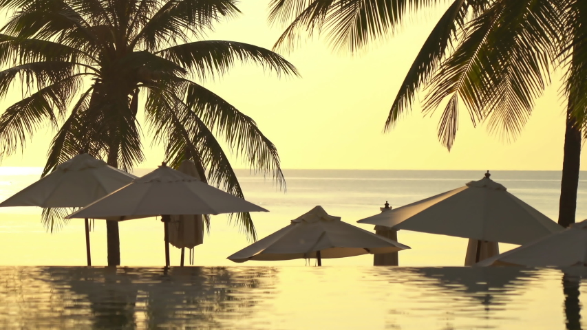 Sunset beyond the tree image - Free stock photo - Public Domain photo ...