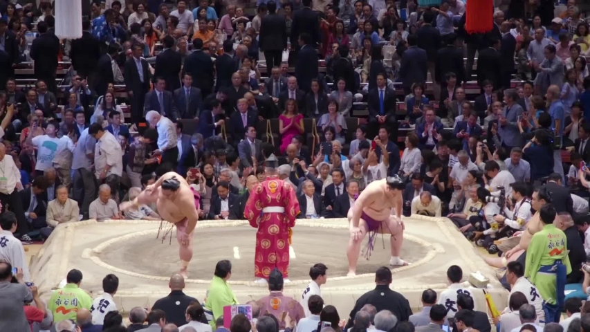 Sumo Stock Video Footage - 4K and HD Video Clips | Shutterstock