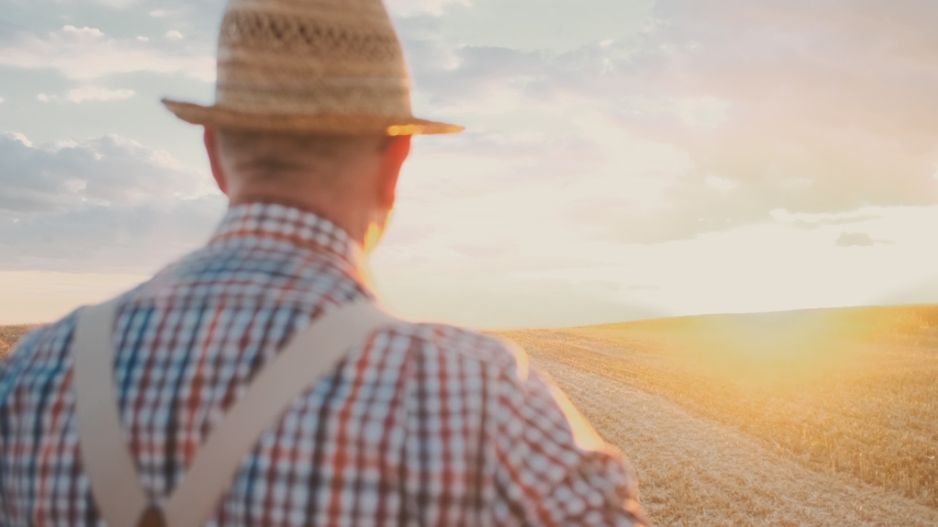 man-resting-at-sunset-looking-at-the-view image - Free stock photo ...
