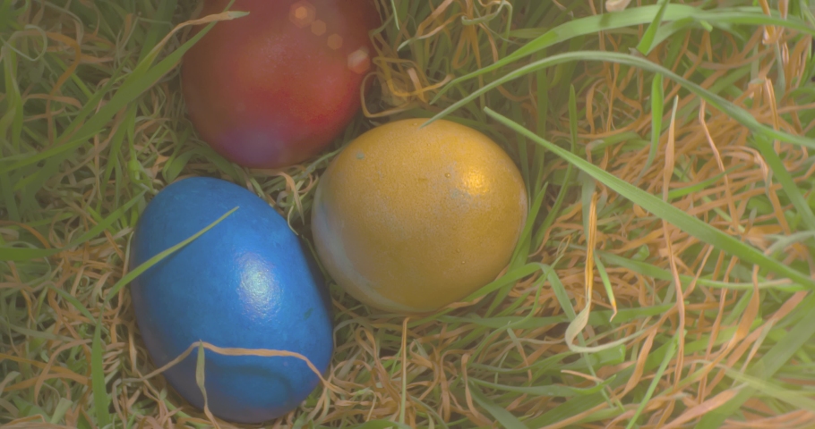 Colored Easter Eggs in Nest image - Free stock photo - Public Domain ...
