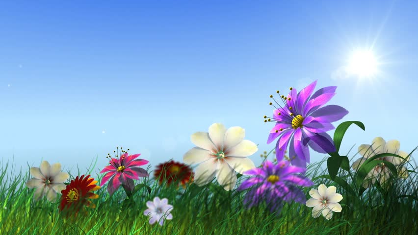 Growing Flowers Frame, 3d Animation Stock Footage Video 798739 ...