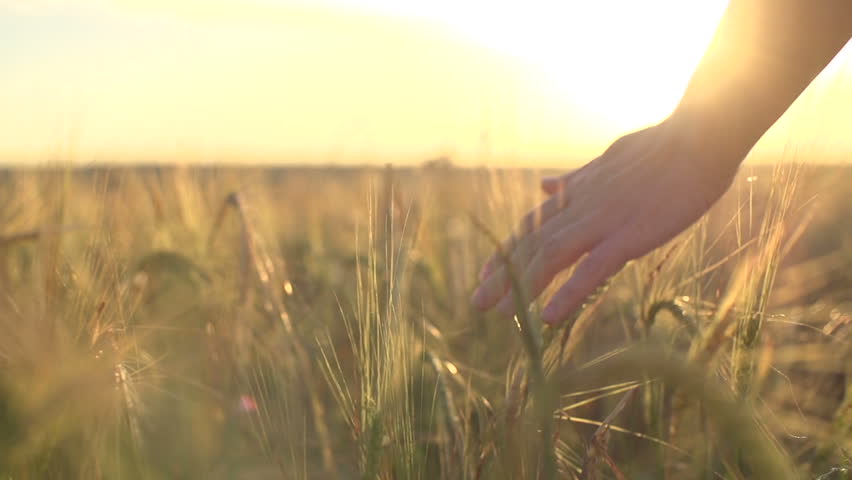 Stock video of a young woman's hand running through | 11097326 ...