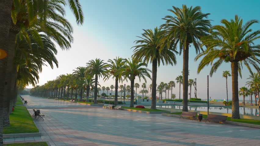 Palm Trees Promenade in Salou, Stock Footage Video (100% Royalty-free ...