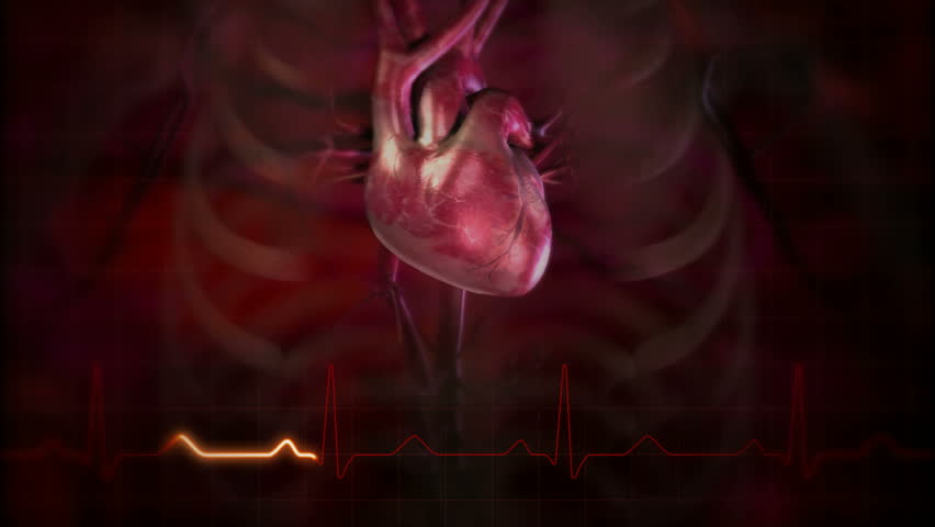 Stock video of heart beating animation, with ecg heart | 12710366 ...