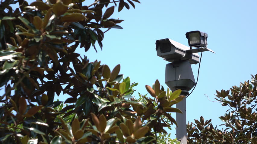 Security Camera Behind Bushes 4k Stock Footage Video (100% Royalty-free ...