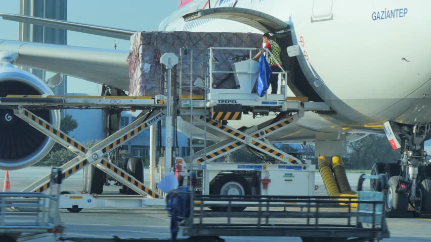 Offloading Luggage Stock Footage Video 9093884 | Shutterstock