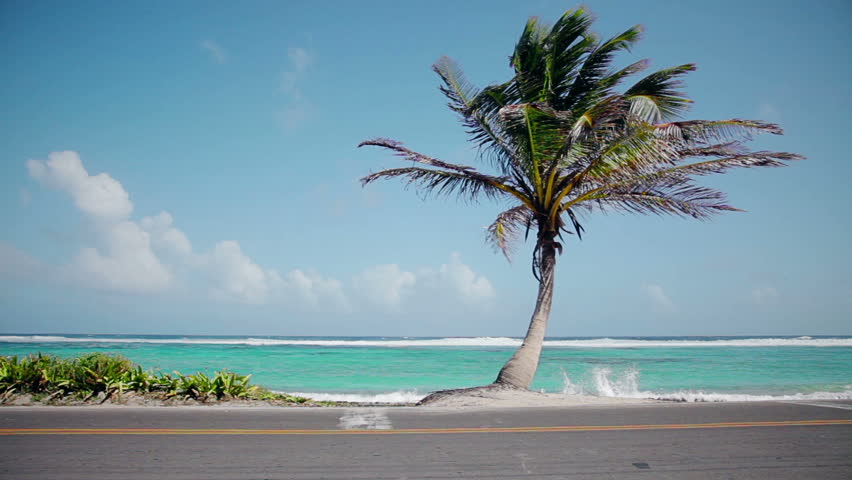 Cinemagraph Loop - Sea Mist Blows Over A Beach. Motion Photo. Stock ...