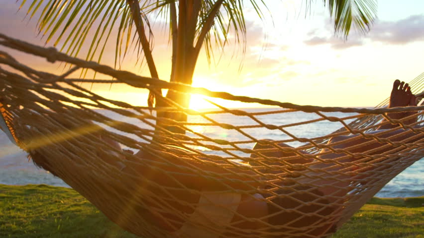 Long Stock Footage Video | Shutterstock