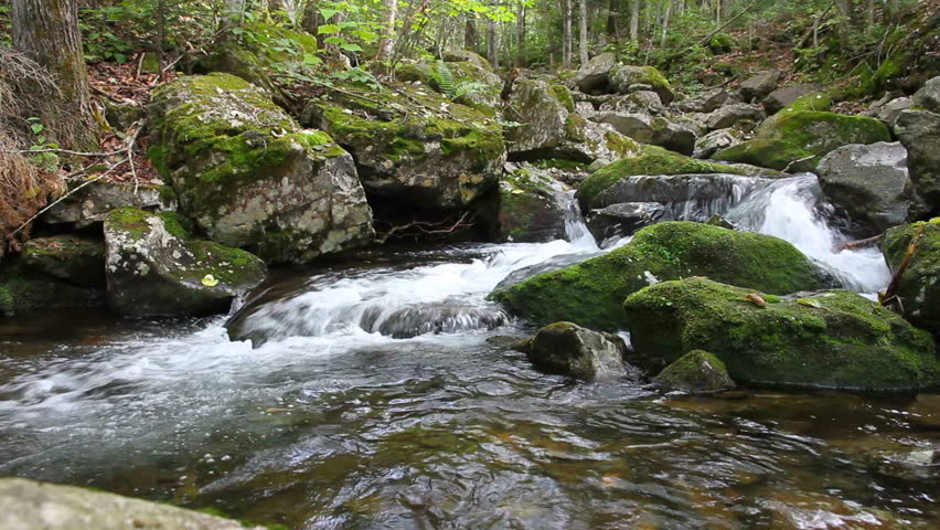 Forest Stream Running Over Mossy Rocks Stock Footage Video 1421647 ...