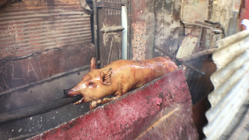 Stock video of pig turning and roasting on spit | 13868876 | Shutterstock