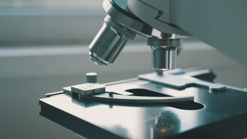 Pharmaceutical Laboratory, Examination Of A Substance Under A ...