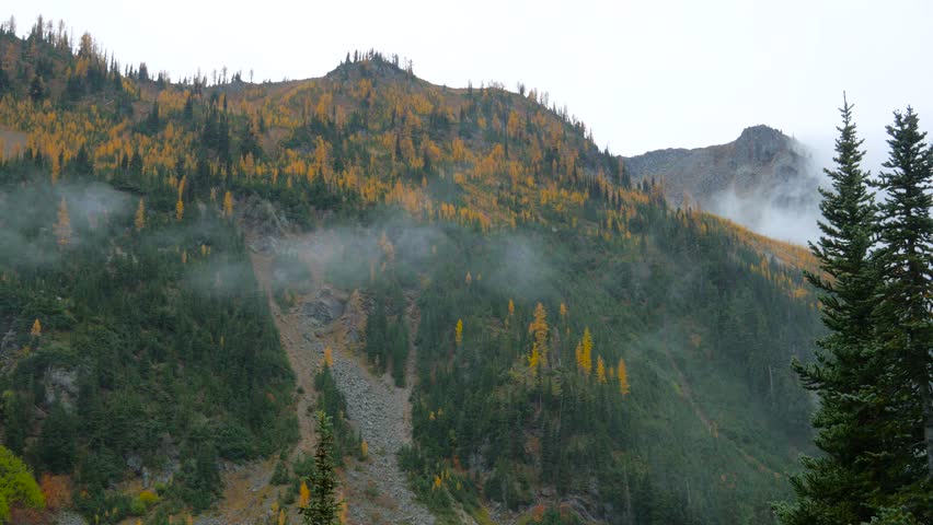 Beautiful Rocky Mountains. Sharp Peaks. Rocky Mountain Slopes. Fir ...