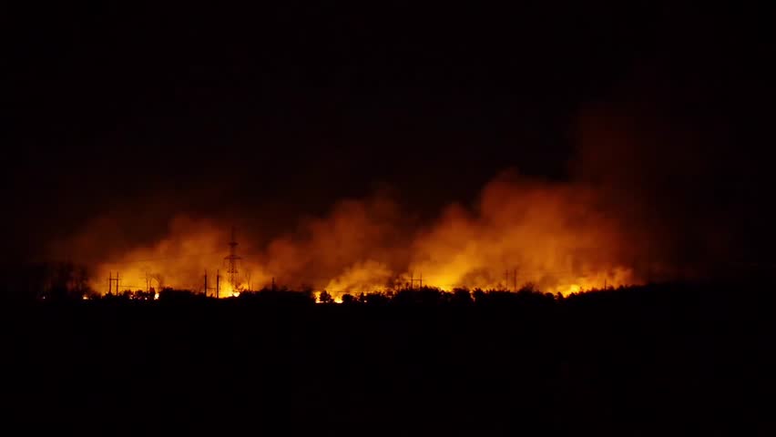 Fire Storm In The Forest Hell On Earth; Horrific Fire Destroys ...