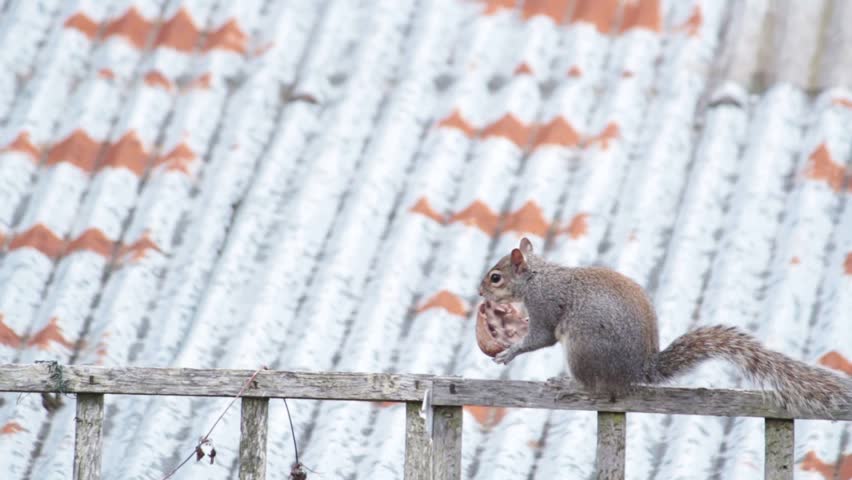 Kids Make Inside Fort (1968 Vintage 8mm Film) X A Brother And Sister ...