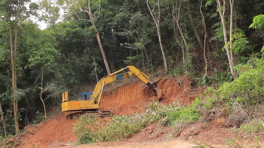 KOTA KINABALU, MALAYSIA - 03 JUNE 2016: Deforestation. HD Video Clip Of ...