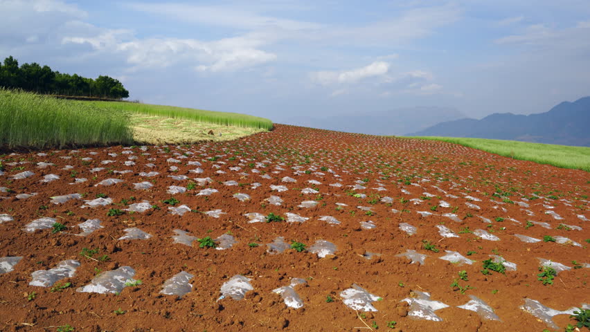 View of Red Lands in Stock Footage Video (100% Royalty-free) 17853496 ...