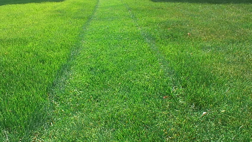 Stock video of cutting the grass in a straight | 184516 | Shutterstock