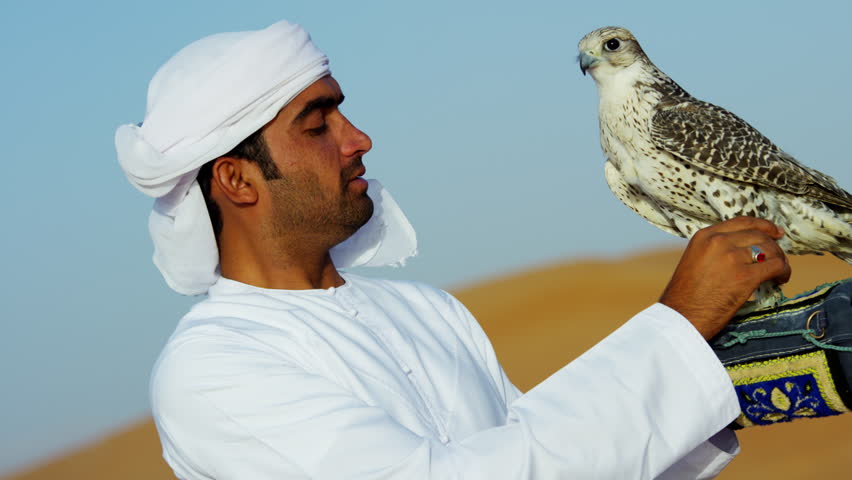 Portrait Trained Bird Of Prey Perching On The Gloved Wrist Of Its ...