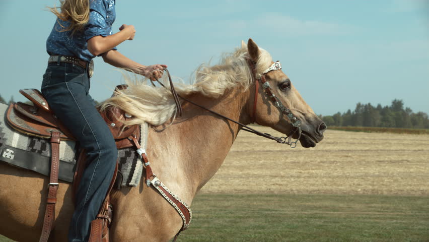 Closeup of Woman Horseback Riding Stock Footage Video (100% Royalty ...