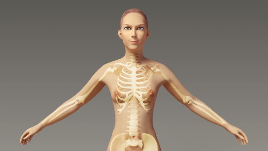 A Young Female Rotating Around Herself Visible Upper Body Skeleton Inside Of Skin Luma Matte