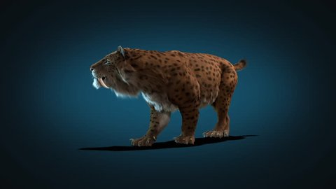 Smilodon Stock Video Footage - 4K and HD Video Clips | Shutterstock
