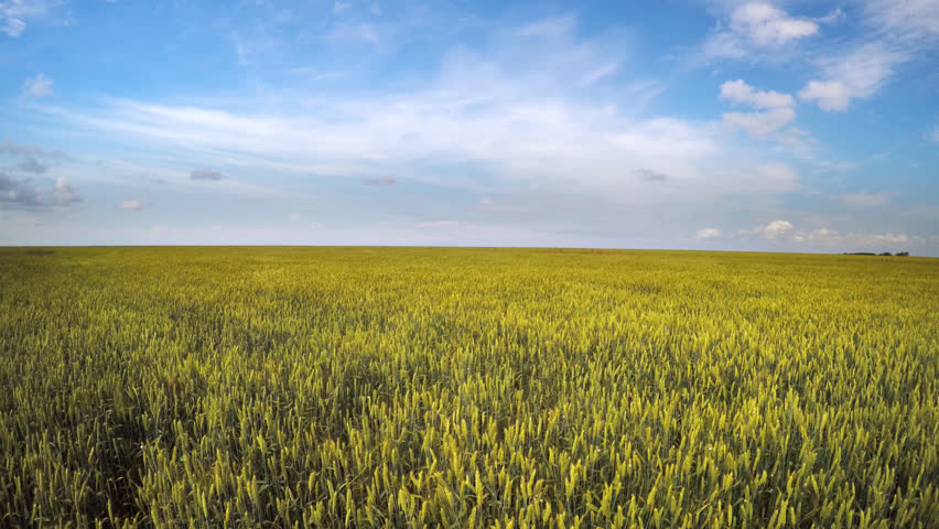 South Dakota Prairie Scenery Stock Footage Video 3176608 | Shutterstock