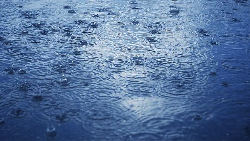Rain Drops Stock Footage Video | Shutterstock