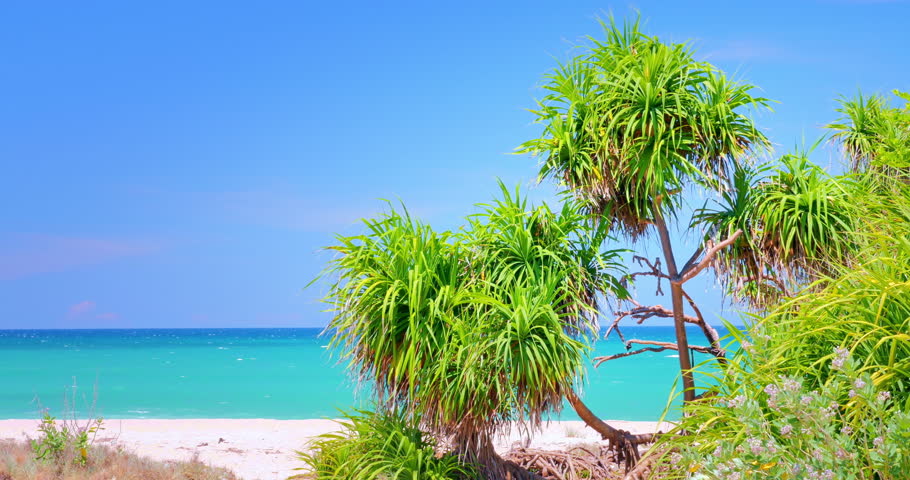 Mystery Island Vanuatu Tropical Beachfront Vibrant Scene With ...
