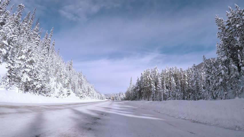 Background Winter Video In Snowfall Forest. Use For Winter And ...