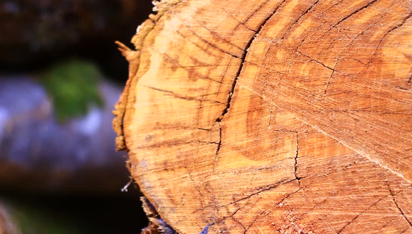 Stock video of beautiful patterns in old wooden trunk | 22849006 ...