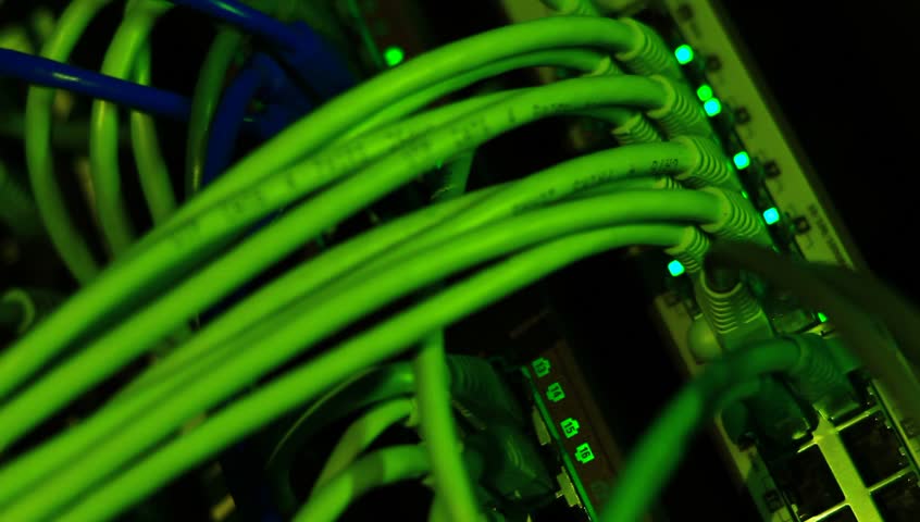 Details From Working Ethernet Server. UTP Cables, Blinking LED Lights ...