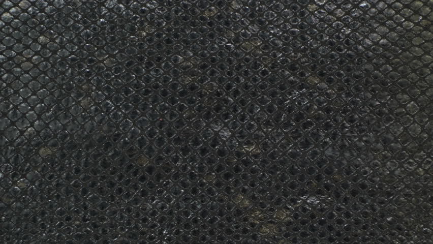 texture genuine leather close up, embossed stok videosu | 23542486 ...