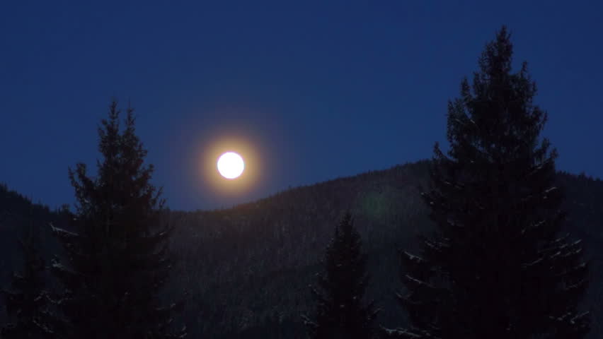 Full Moon With Quick Focus To Zoom Out Including Pine Tree At Night ...