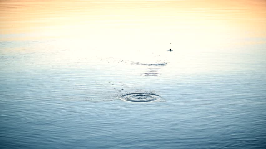Stone Skipping On Water At Dawn. Beautiful View Of Throwing A Small ...