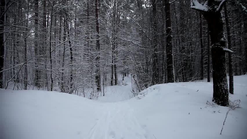 Snow Falling. Winter Wonderland. Snowing Snowy. Sunset Dusk Sunshine ...