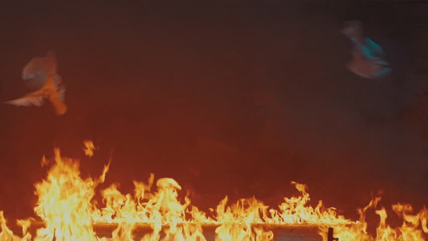Fire Flames On Black Background. Dove Flying On Fire Background. Snow ...