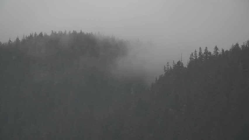 Stock video of slow motion, fog rolls over treeline | 25745666 ...