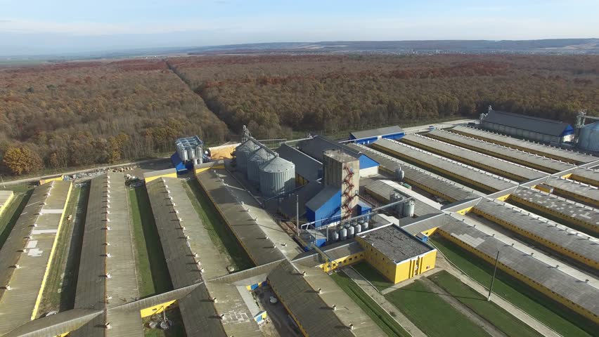 Stock video of big pig farm, aerial, top viewe | 25775336 | Shutterstock