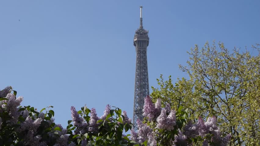Calgary Tower Through The Fountain At Central Memorial Park, Canada ...