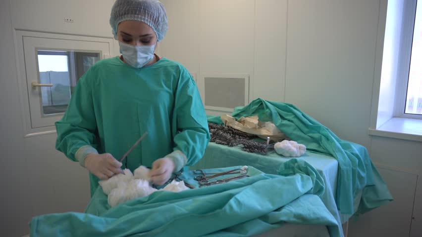 Surgeon In Blue Gloves Preparing Instruments Before Surgery. Wipe ...